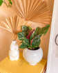 Sputnik Mid Century Style Planter Pot – Hesby